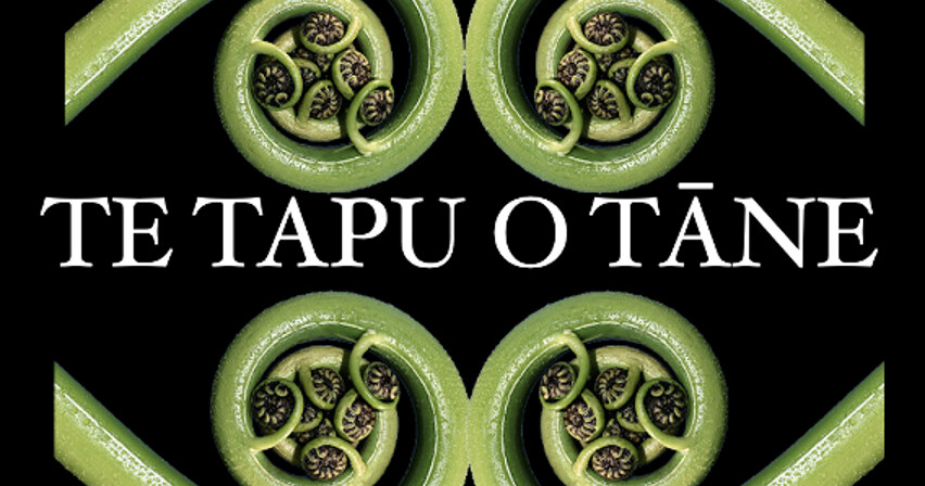 Jana Davis • Murihiku Regeneration