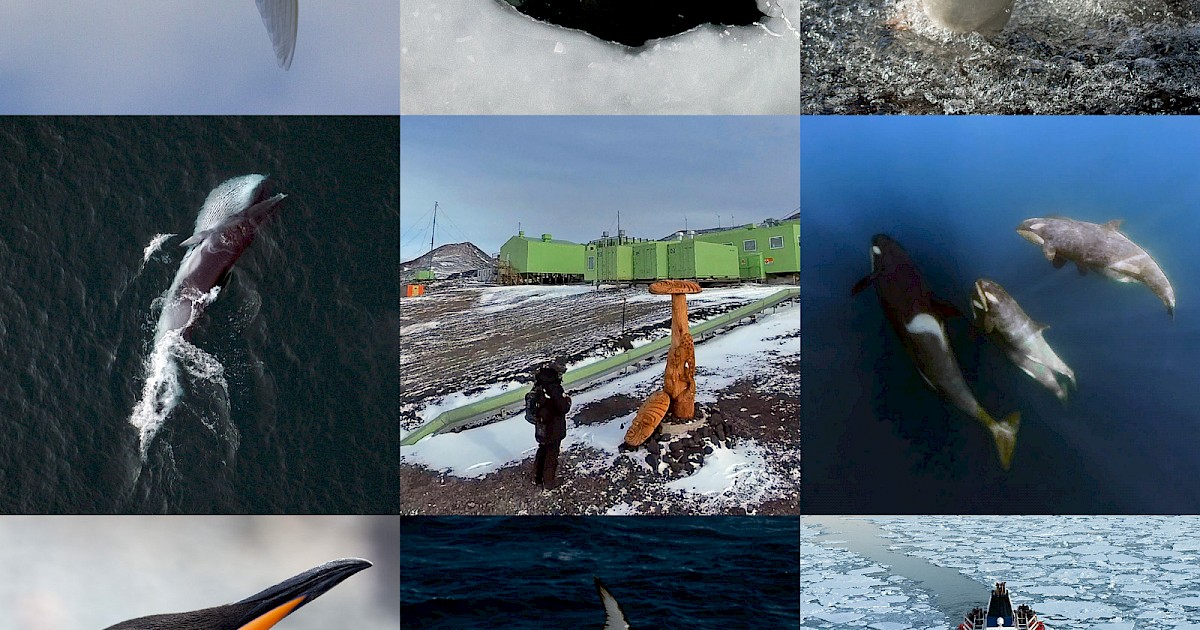 First Anniversary of Murihiku ki Te Tonga, the World’s First Indigenous ...